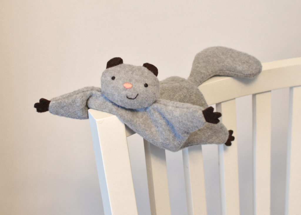 A flying squirrel - Apples & Beavers